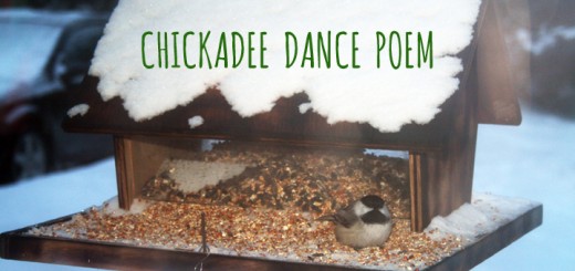 Chickadee Dance: Original Poem by The Forest Fairy | The Forest Fairy